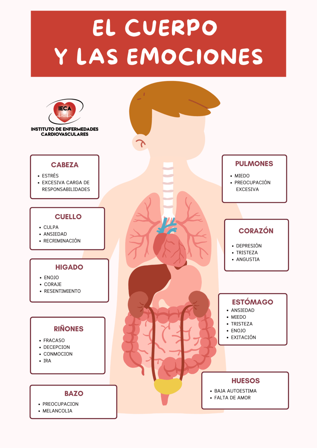 El cuerpo y las emociones, Dime que te duele y te diremos que resolver. - IECA